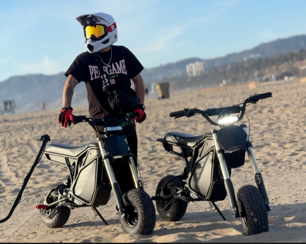 The Rizzler Bike – Ronsterrides